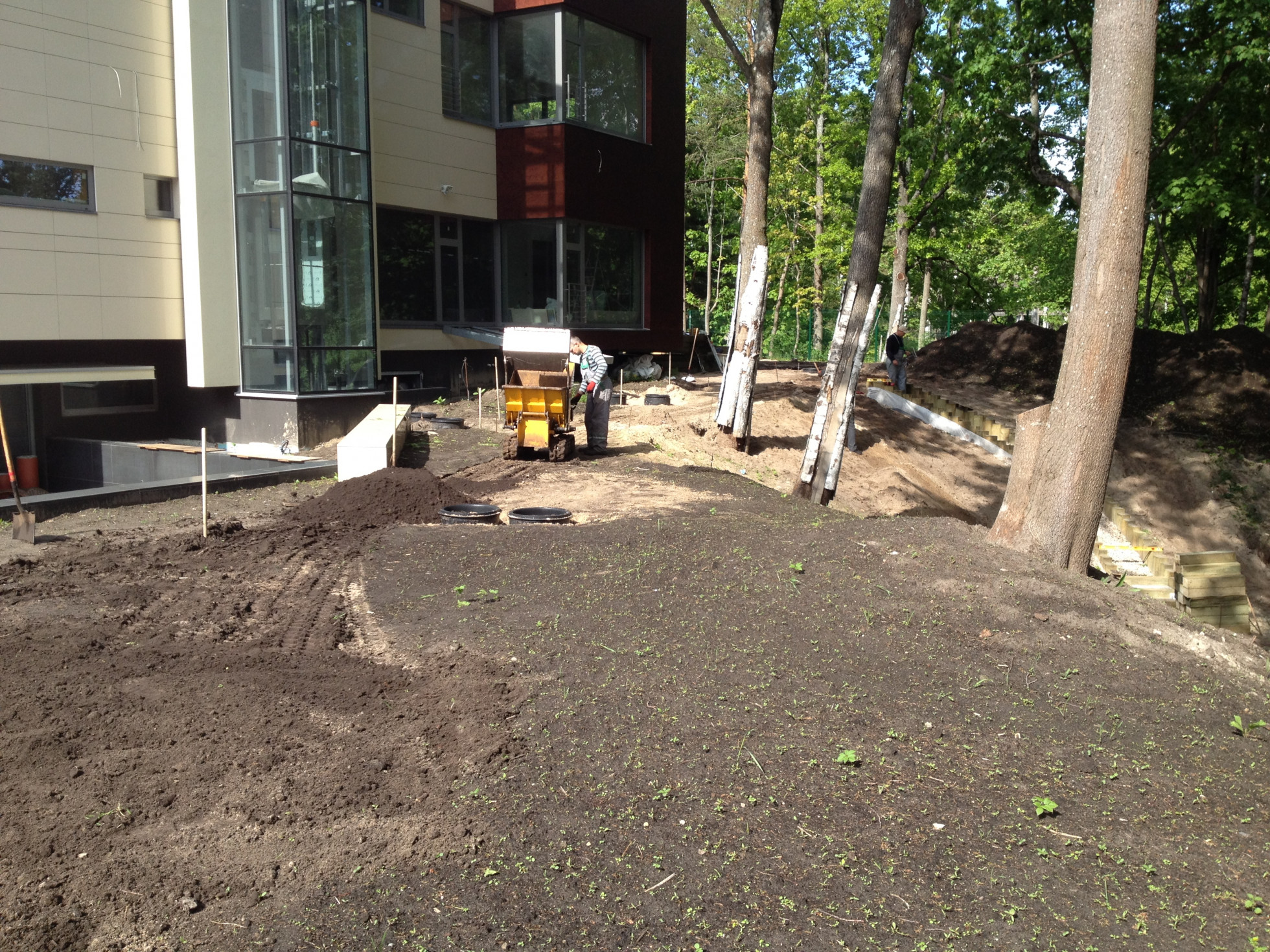 Turf Grass Laying | a green lawn in your garden at once | EasyGreen